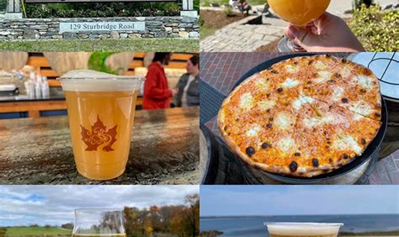 Visit: Tree House Farm Brewery & Local Craft Brews!