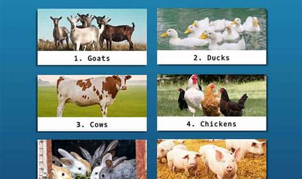 Top Good Farm Animals: Breeds & Benefits for Farms