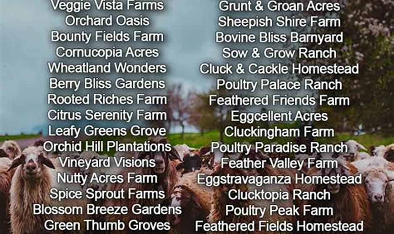 Find Farm Names: Generator + Ideas for You!