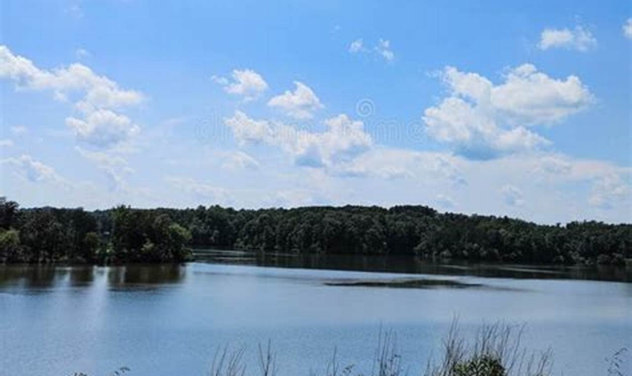 Efficient Farmer Lake: Irrigation for Farming Success