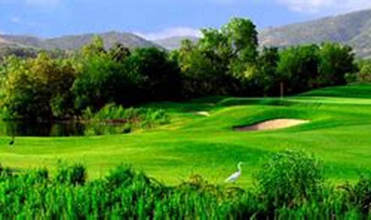 Fun on the Farm: Strawberry Farm Golf & More!