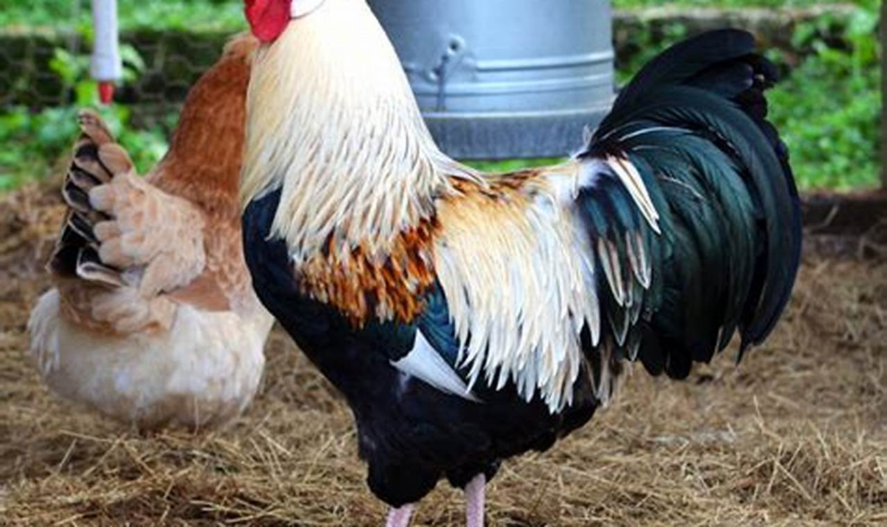 Green Fire Farms: Sustainable Farming Future