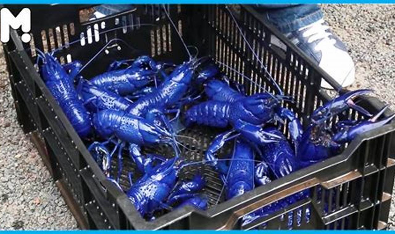 Guide to Crawfish Farming: Tips & Techniques