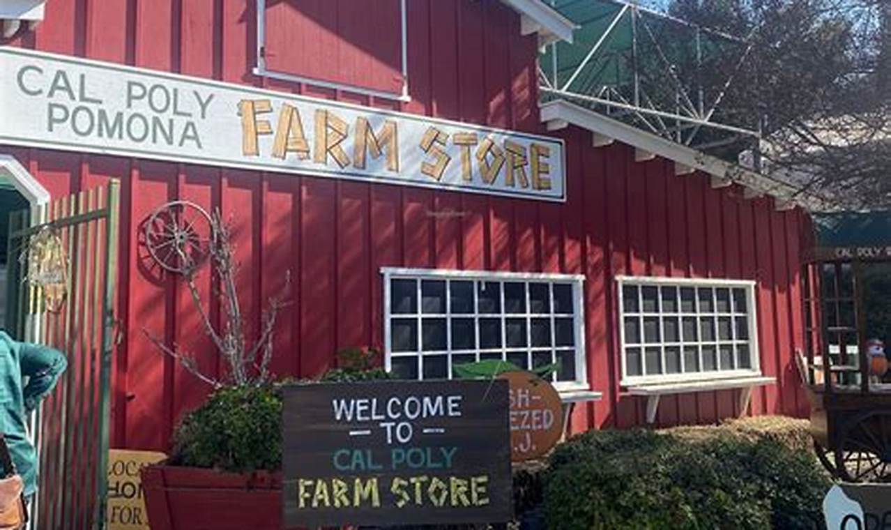 Visit Kellogg Ranch Farm Store: Fresh & Local!