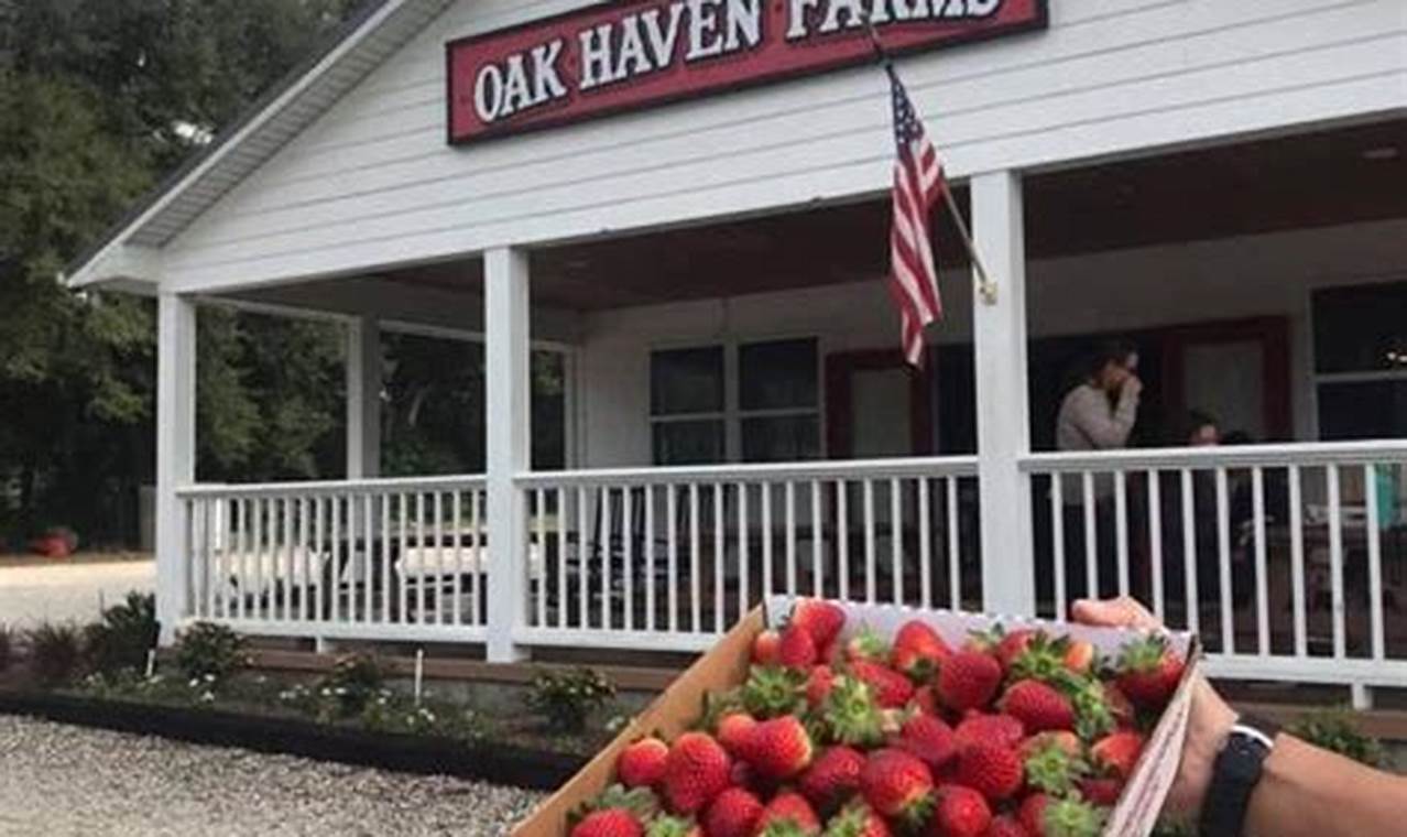 Visit Scenic Oak Haven Farms: Your Local Farm Fresh