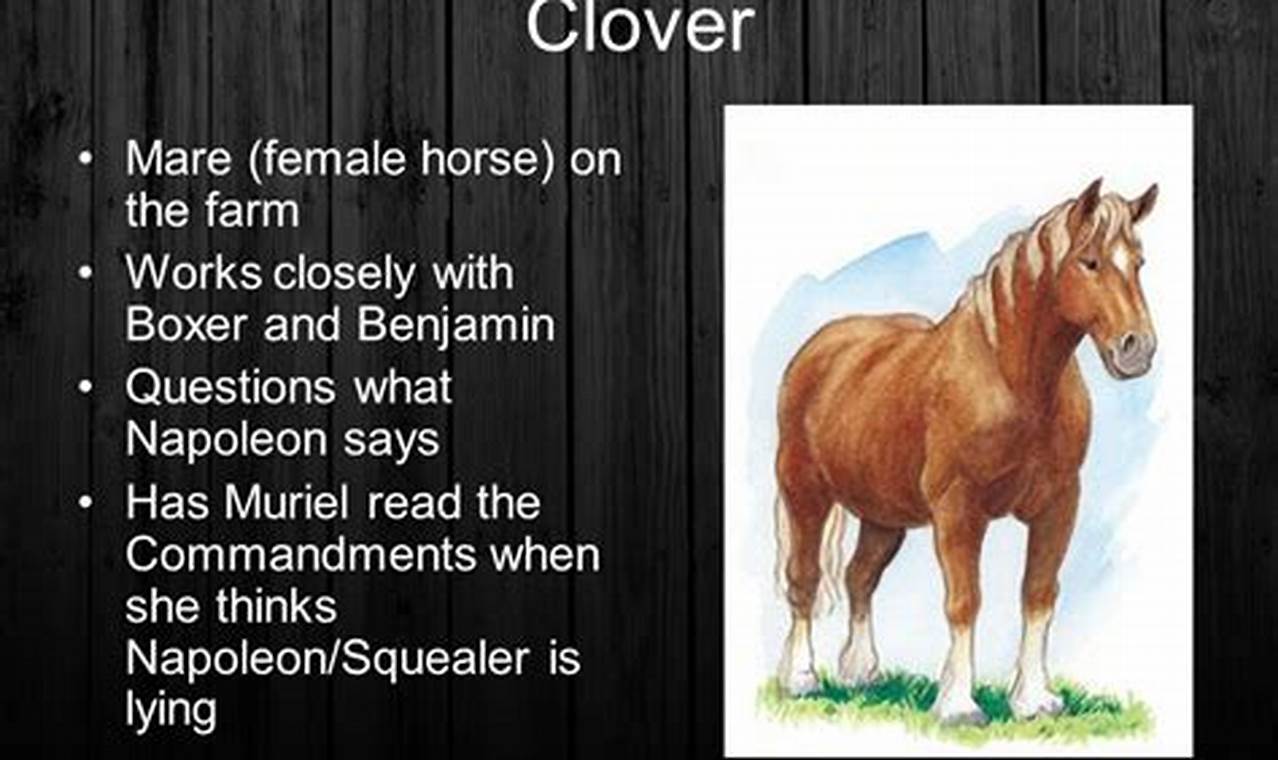Character in Animal Farm: Who is Clover? A Deep Dive