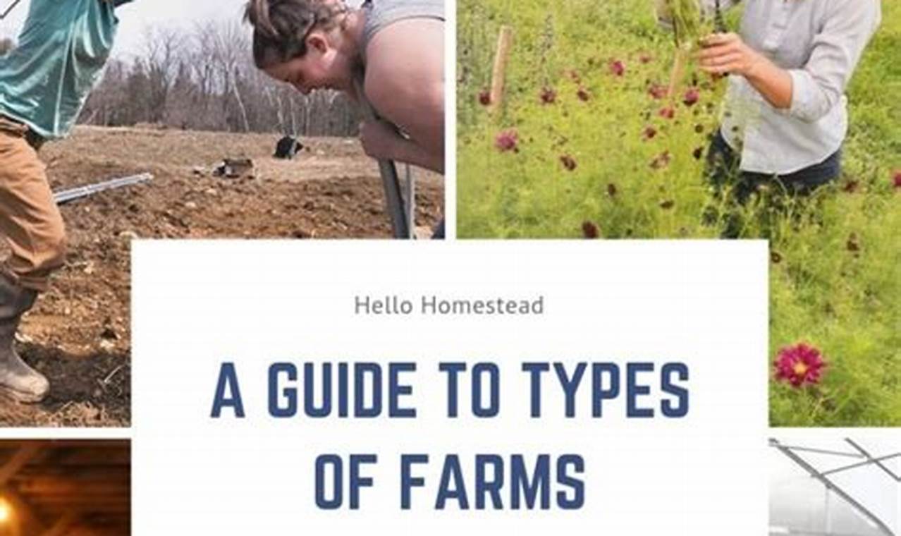 Build a Type Farm: The Future of Font Farming!