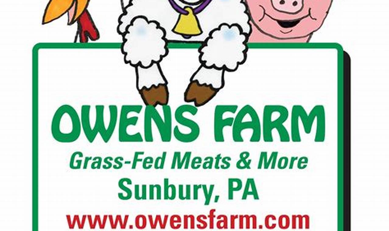 Discover Owens Farm: Fresh & Local Produce