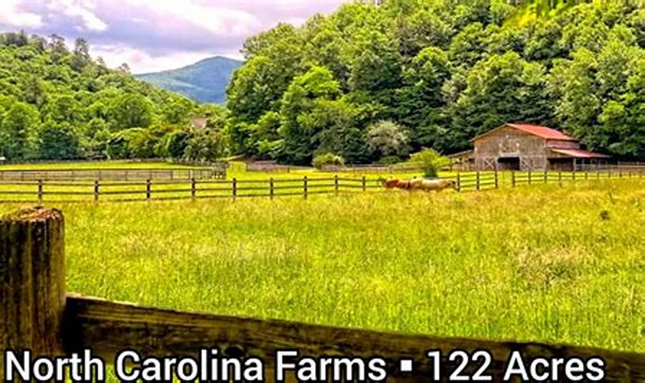 Find Your Dream: North Carolina Farm Land for Sale Today