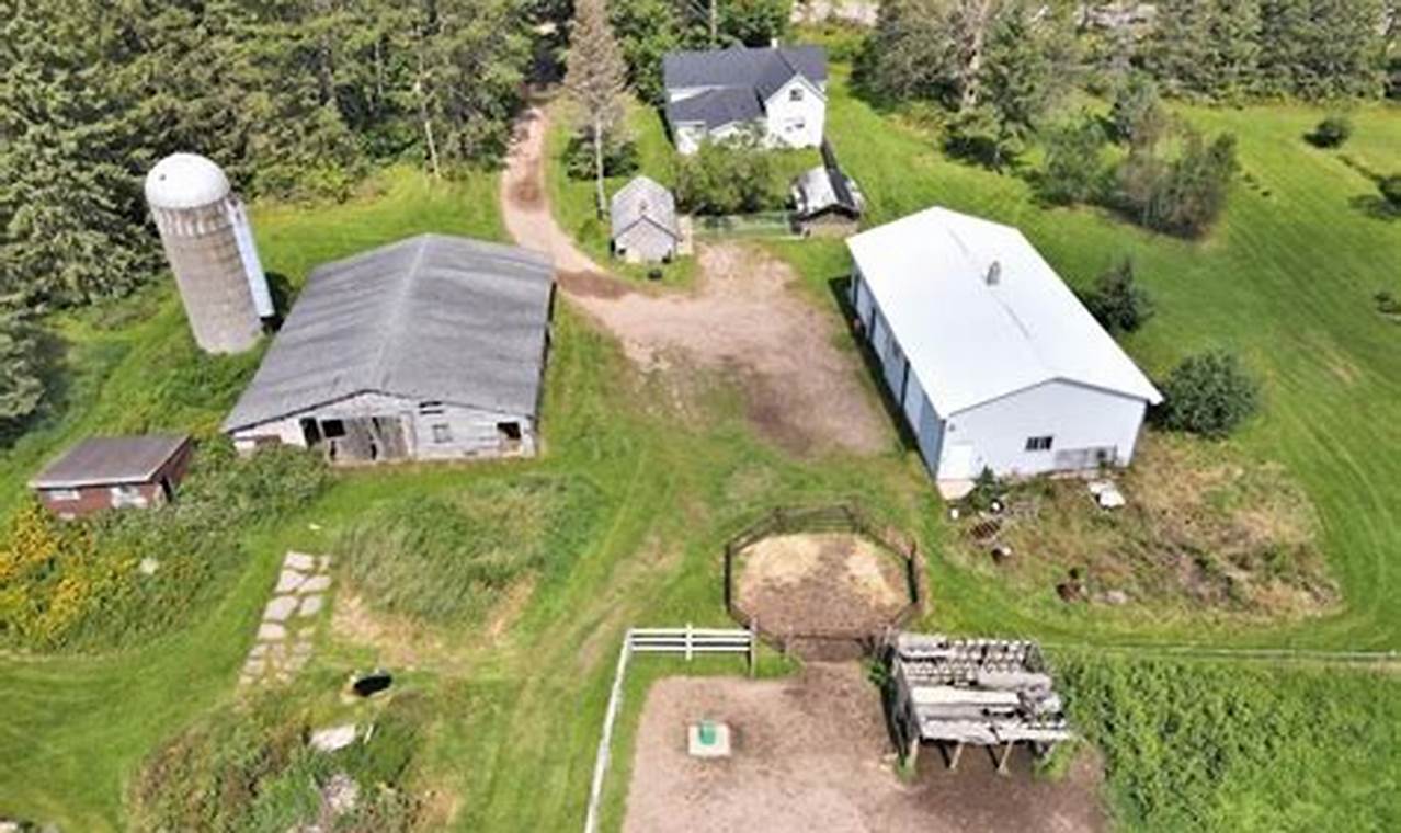 Dream Homestead Farms for Sale: Your Rural Escape Awaits!