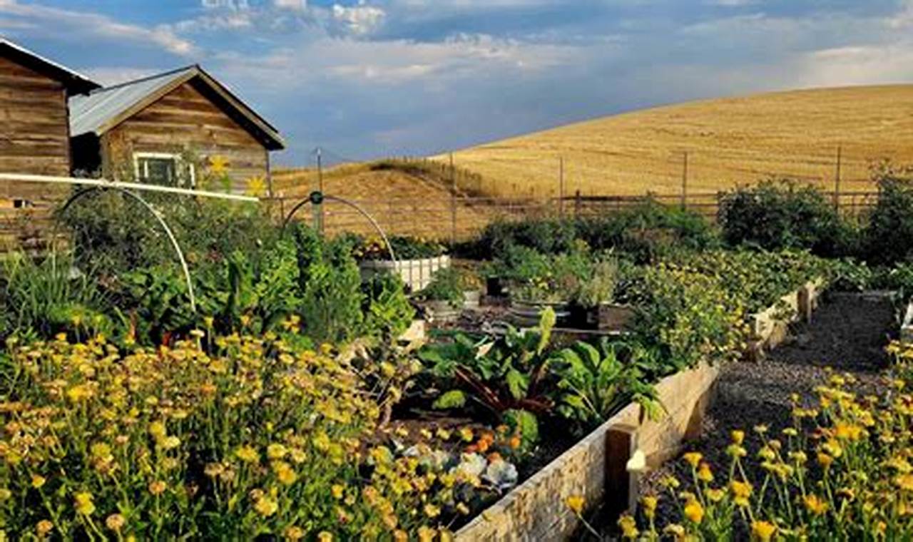 Dream Mini Farm for Sale: Your Sustainable Oasis Awaits