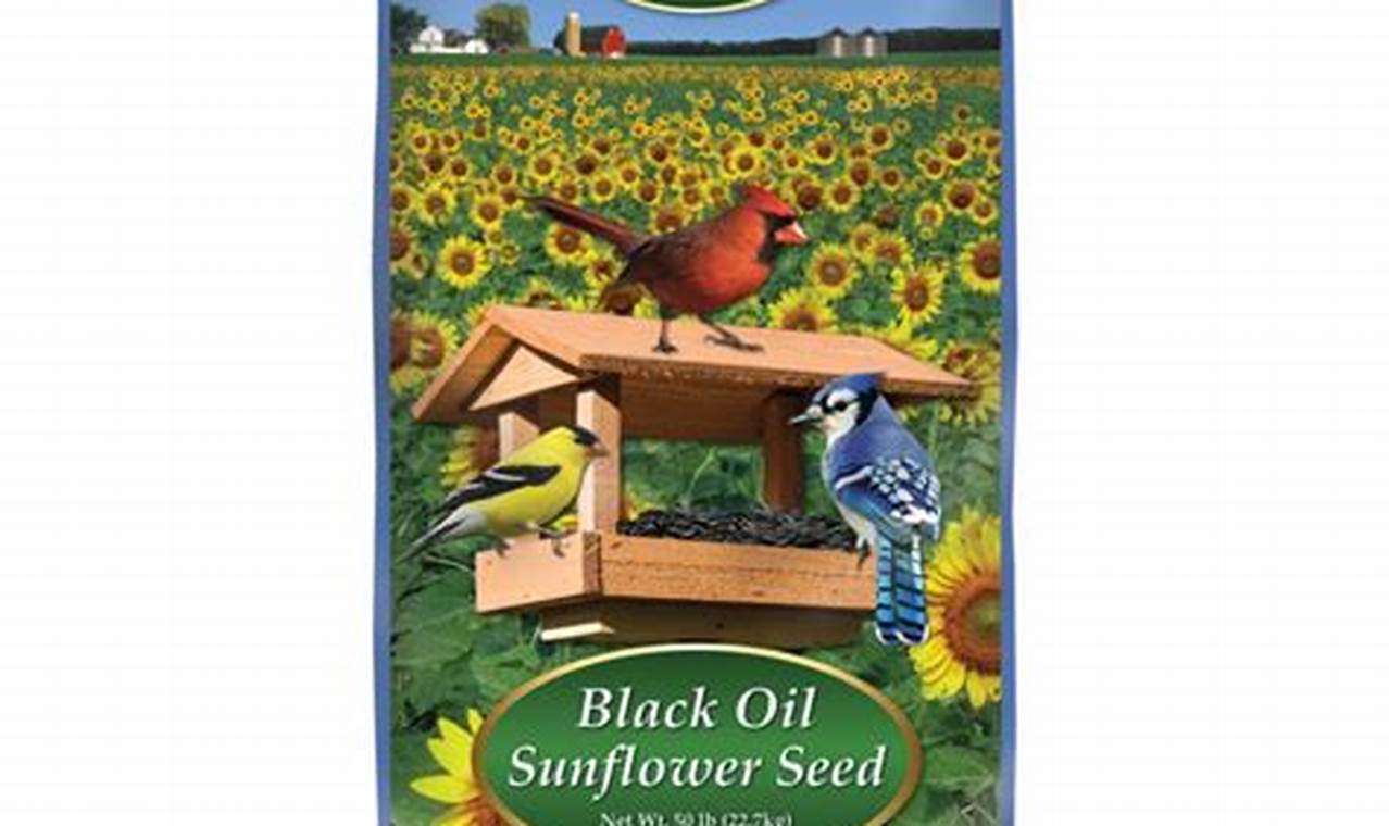 Buy Fleet Farm Bird Seed: Attract More Birds!