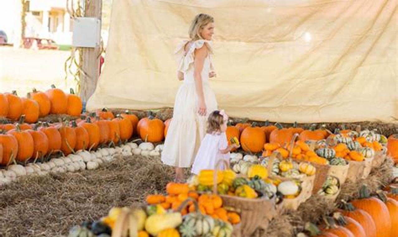 Your Guide: Southern Hill Farms Events Near You - Fun!