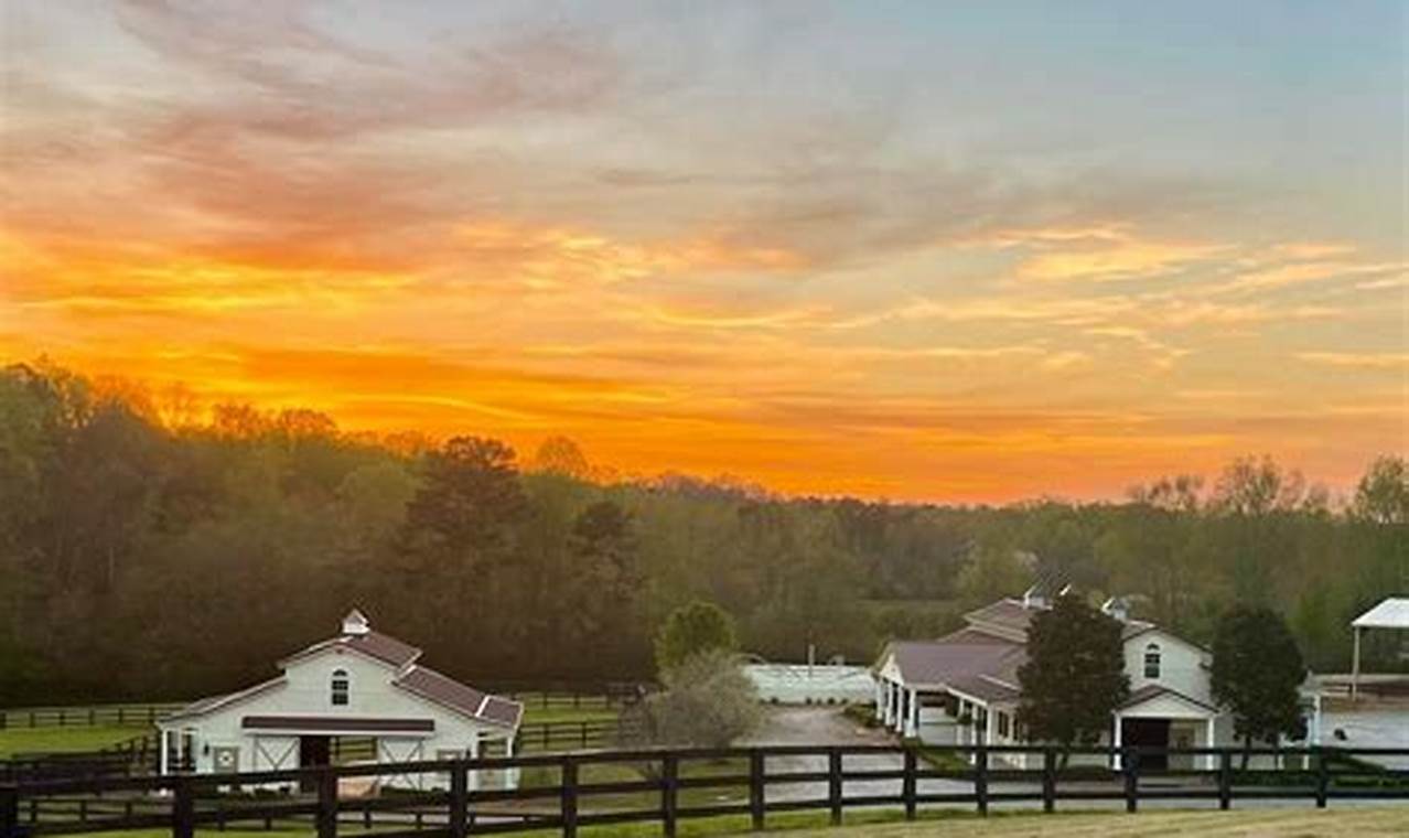 Discover Arbor Hill Farm: Your Sustainable Farm