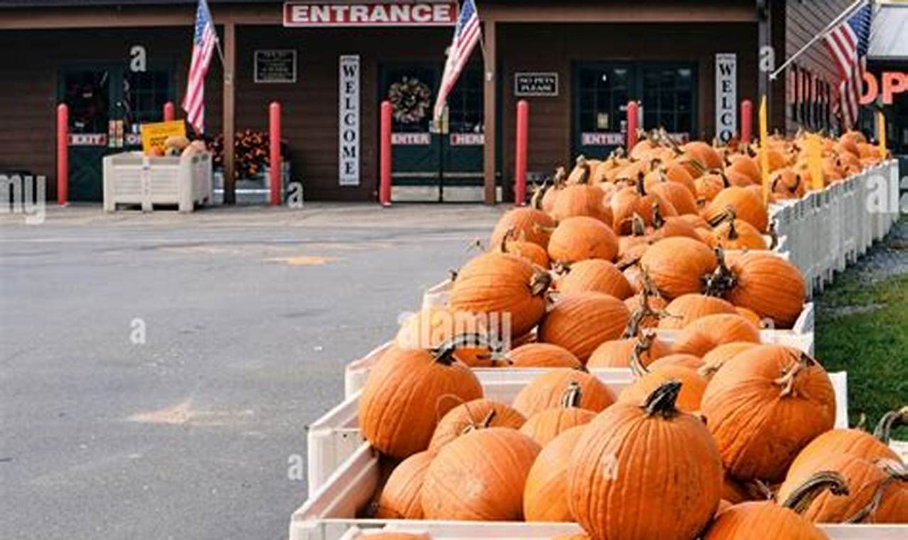 Discover Panorama Farm Market: Fresh & Local Finds!