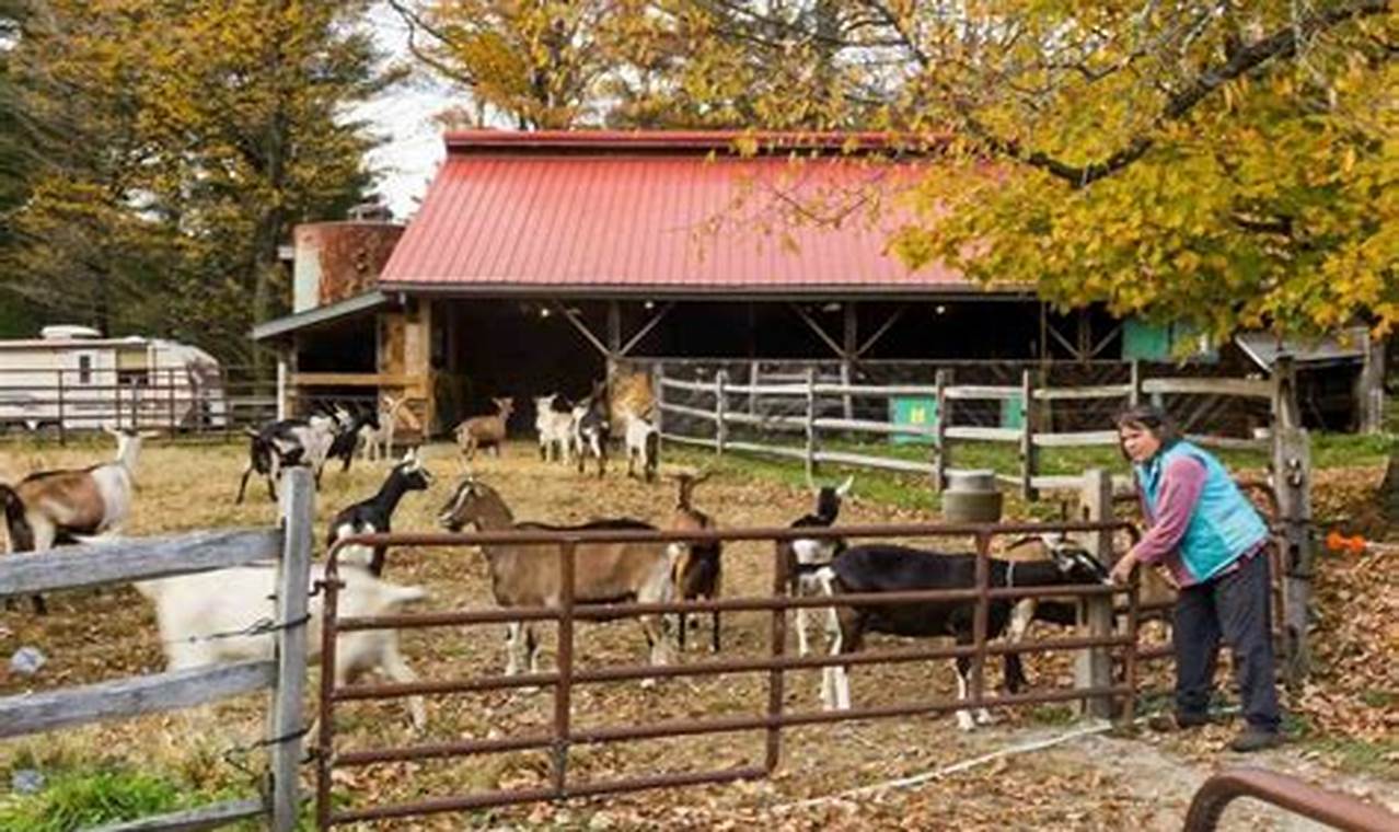 Find the Best Farms to Visit Near Me: Guide & More!