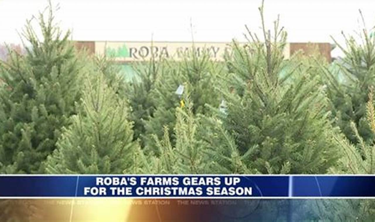 Grow Your Tree! Robas Tree Farm: [Holiday Magic]