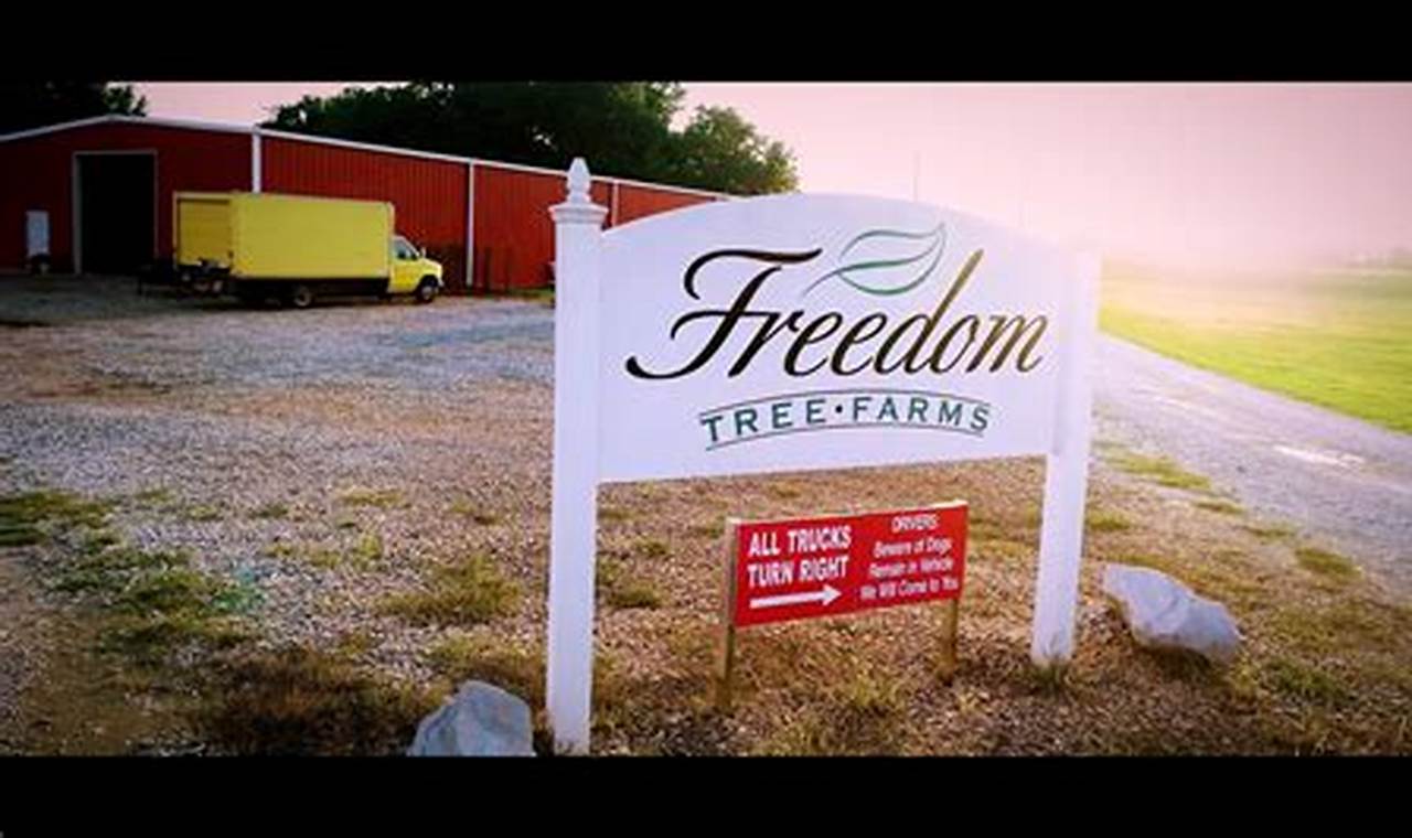 Discover Freedom Tree Farms: Your Sustainable Choice