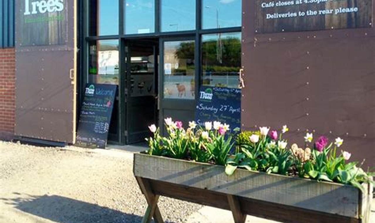 Visit Three Trees Farm: Your Local Tree Farm Getaway