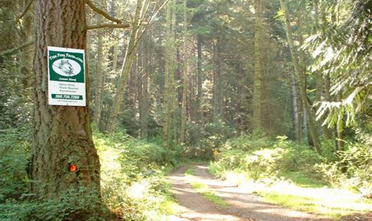 Guide to Tree Frog Farms: Setting Up Your Own!