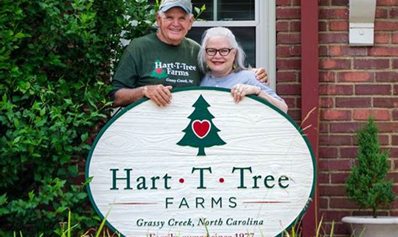 Discover Hart Tree Farms: Your Premier Tree Source